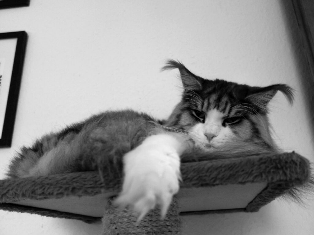 wilma (c23_290) – willkommen beim blubberfisch